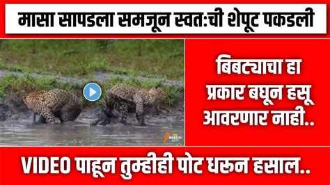 मासा समजून पकडल अस काही The Marathi News Youtube