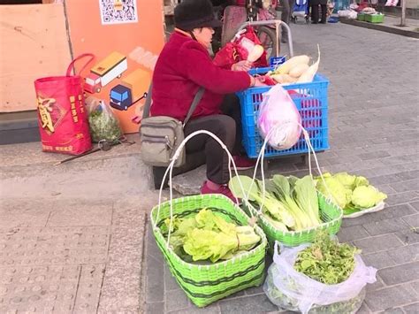 春菜抢“鲜”上市！来尝尝春天的味道 青田 丽水在线 丽水本地视频新闻综合门户网站
