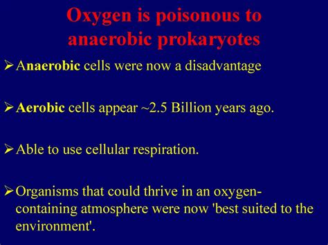 How Did Eukaryotic Cells Evolve From Unicellular Organisms Ppt Download