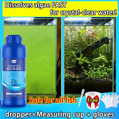 Water Purification Algae Remover For Home 500ml Algae Remover Shopee