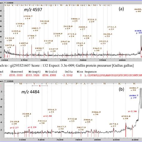 Maldi Peptide Mass Fingerprint Of Purified M Z 1902 In Direct