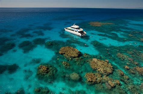Cairns Snorkelling And Dive Tour Only 60 Guests Great Barrier Reef Trip