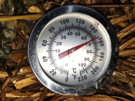 Carbon To Nitrogen Ratio The Key To Fast Healthy Compost