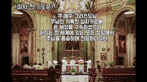 연옥 영혼을 위한 기도 미사 전 후 기도문 Youtube