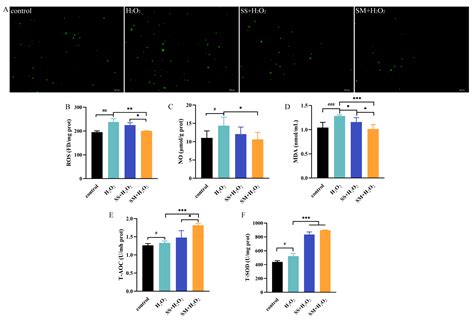 antioxidants free full text selenomethionine attenuated h2o2