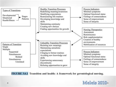 Transitions Theory Afaf Meleis