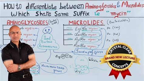 Aminoglycosides Vs Macrolides Antibiotics Pharmacology Youtube Aminoglycosides Vs Macrolides Antibiotics Pharmacology Youtube