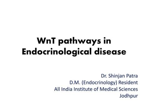 Wnt Signalling In Endocrinology Pptx
