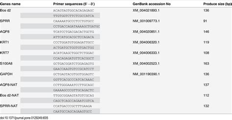 relevant information of gene and primer sequences for strand specific