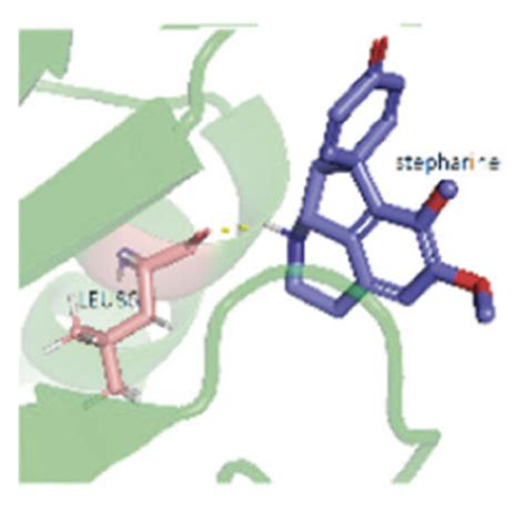 The Top 10 Binding Energy Docking Modules Download Scientific Diagram