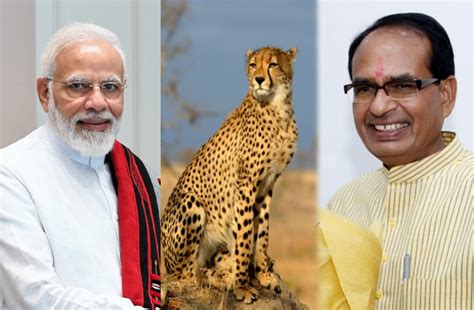 Narendra Modi Inaugurate Cheetah Project Kuno Sanctuary Sheopur भारत