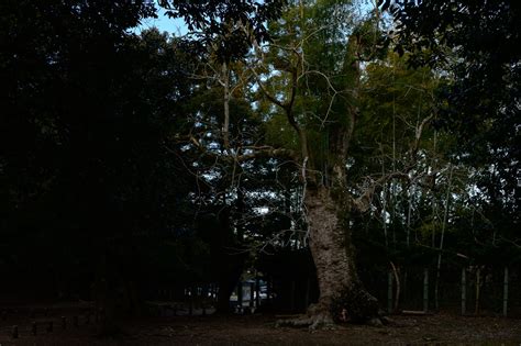 Lightroom写真編集用語 露光量とは①