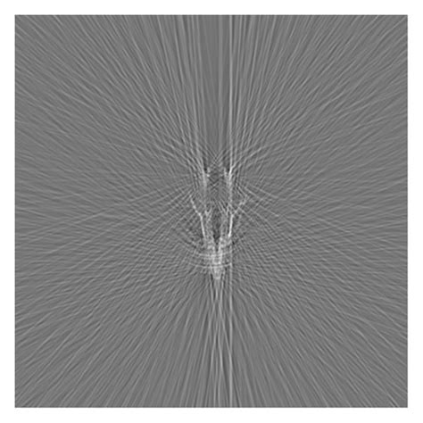 Reflective Tomography Lidar Image The Sampling Interval Is A 1 Download Scientific Diagram