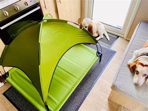 Bentley Look Gucci Its All Builded And Every Fings What Do You