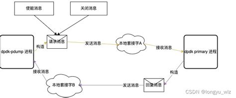 dpdk pdump 原理浅析 CSDN博客