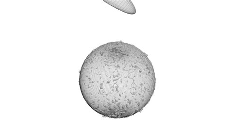 Human Egg With Sperm Cell 3D model | CGTrader