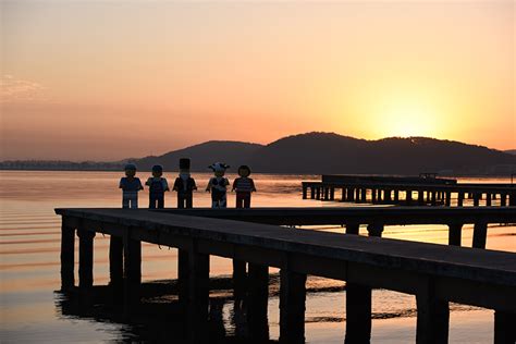 武汉大学珞珈山下，东湖凌波门迎来神秘游客