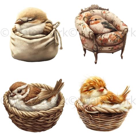 Cozy And Lazy Bird Clipart Lazy Bird Png Bird Lover Png Sleeping