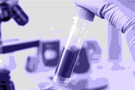 What Is Peptide Nucleic Acid Pna
