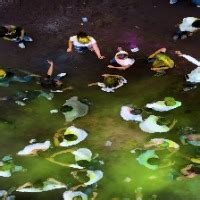 Human Detection Drone Object Detection Dataset By Human Detection