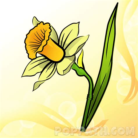 How To Draw A Daffodil Pop Path