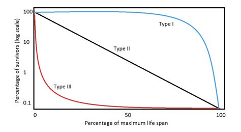 Solved Above Is A Depiction Of The Three Types Of