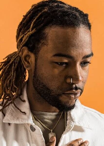 Partynextdoor Fan Casting