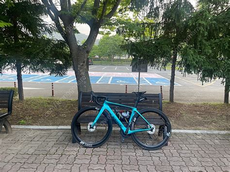 써벨로s시리즈 로드자전거 팝니다 중고나라 카페에서 운영하는 공식 사이트