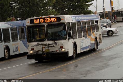 File MT 1126 TransitfanWiki