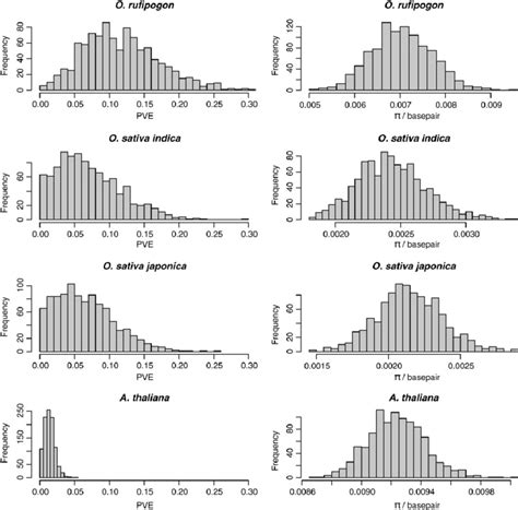 Results From Forward Genetic Simulation Of Indel Associated Mutation Download Scientific