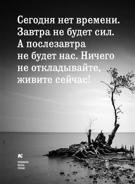 цитаты и афоризмы Жизненные поговорки Правдивые цитаты Уроки жизни