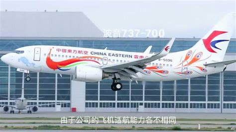 东方航空云南有限公司运行控制部生产指挥中心团支部汤磊事迹材料 高清1080P在线观看平台 腾讯视频