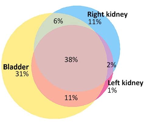 Publications Hunstad Lab Washington University In St Louis