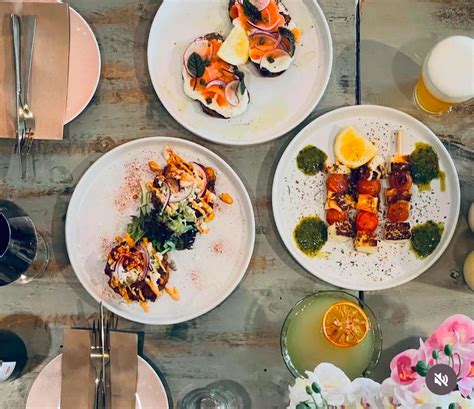 Monkey And The Bean Incy Wincy Has Caught 7 Bugs In His Web And He