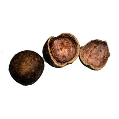 Well Watered Wood Apple Feronia Limonia Fruit Seed At ₹ 750 Kg In
