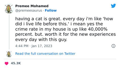 20 Hilarious Cats Crimes Shared By Cat Owners Demilked