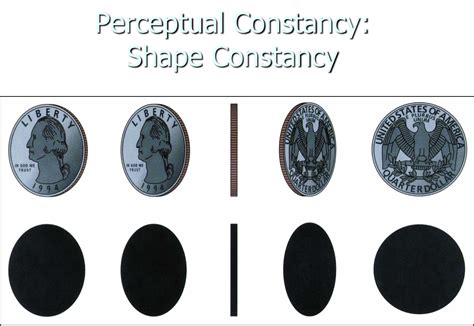 Shape Constancy Psychology Example