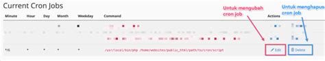 Setting Cronjob Di CPanel Hosting DomaiNesia Dengan Mudah