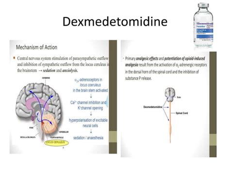 Dexmedetomidine A Novel Anesthetic Agent Ppt