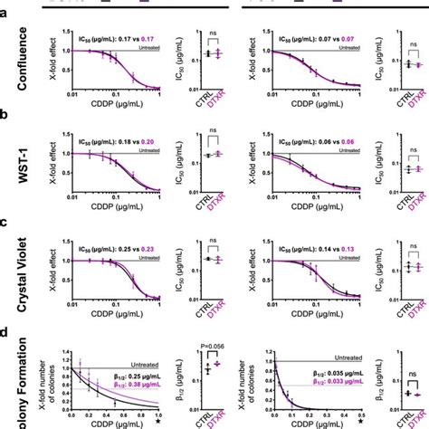 Evaluation Of Cddp Tolerance In Docetaxel Resistant Du145 And Pc 3