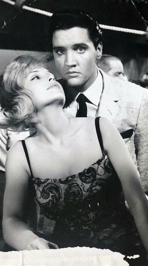 Pin By Big Al On Elvis My Darling Elvis Presley Pictures Elvis