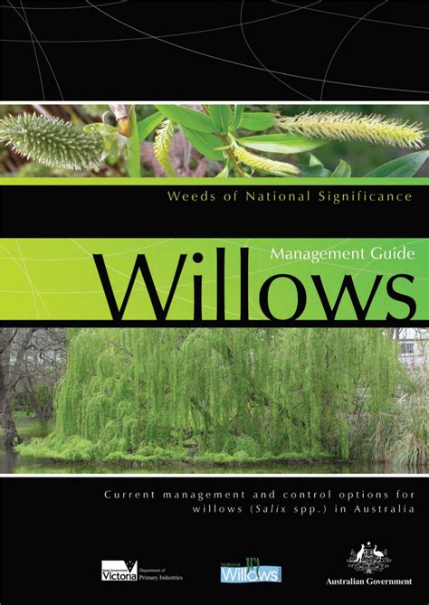 Willows Management Guide Current Management And Control Options For Willows Salix Spp In
