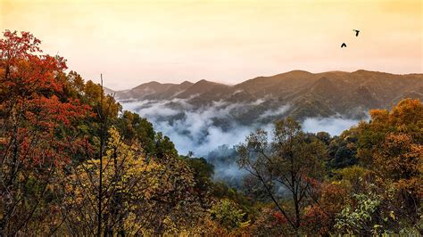 重庆城口大巴山腹地赏秋看红叶 成大自然的调色板