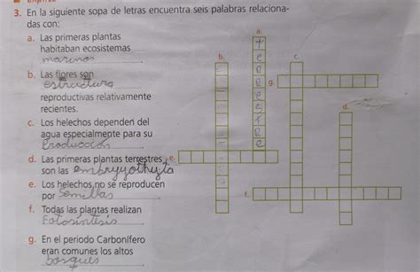 En La Siguiente Sopa De Letras Encuentra 6 Palabras Relacionadas Con