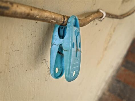 Premium Photo | Close-up of clip
