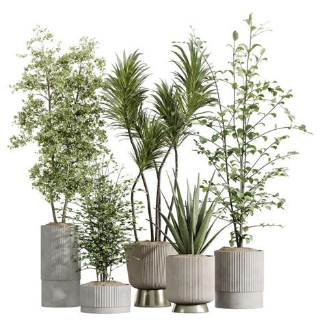 Av Indoor Plants Set 220 389662 3d Model Download 3d Model Av