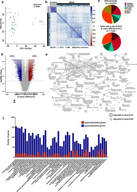 The Methylation Profile Of Segas A A Principal Component Analysis