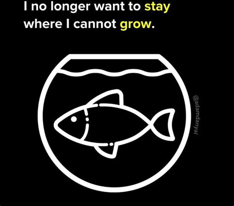 S Avinash Posted On Linkedin