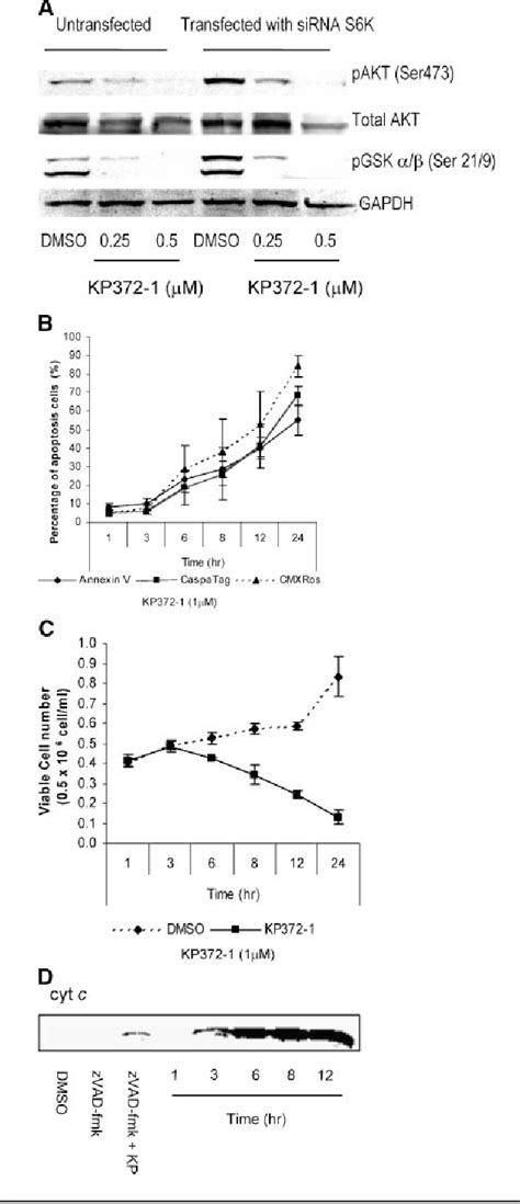 Figure 2 From Simultaneous Inhibition Of Pdk1 Akt And Fms Like Tyrosine