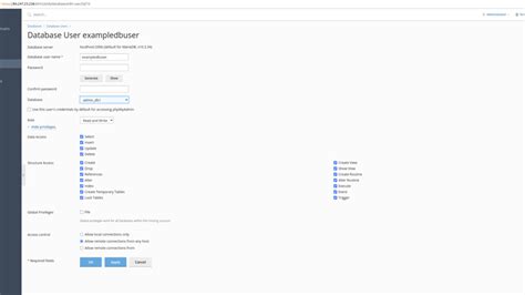 Compromising Plesk Via Its REST API